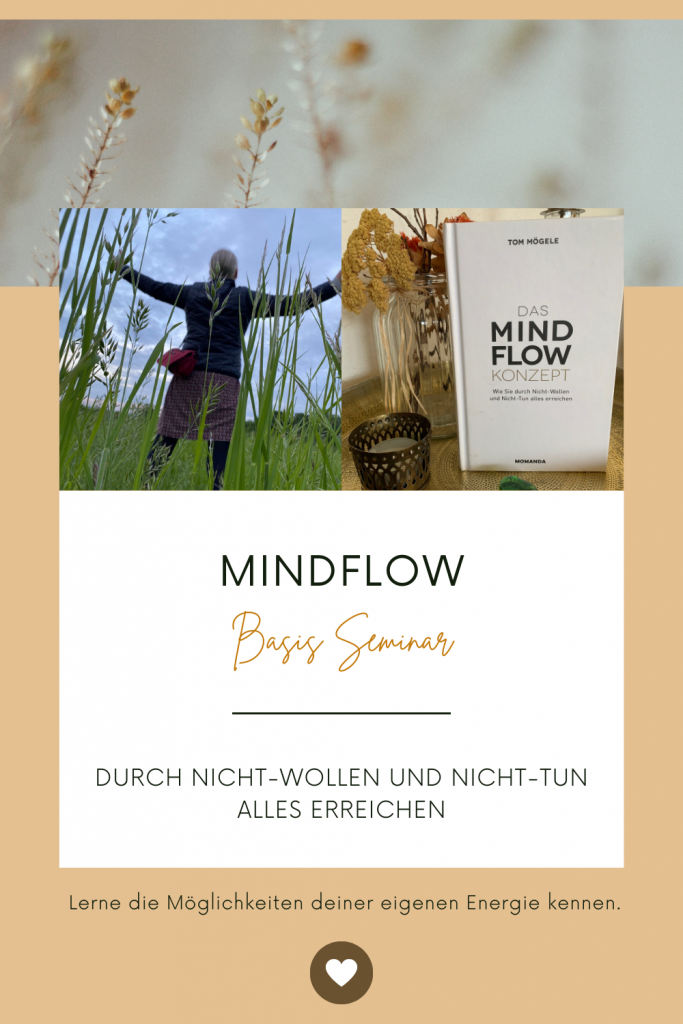 MindFlow Seminar - Andrea Jäschke